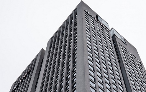 Evertree Insurance Makes Its US Debut