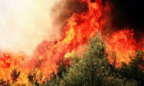 California Wildfires: Insurance Commissioner Offers Statement