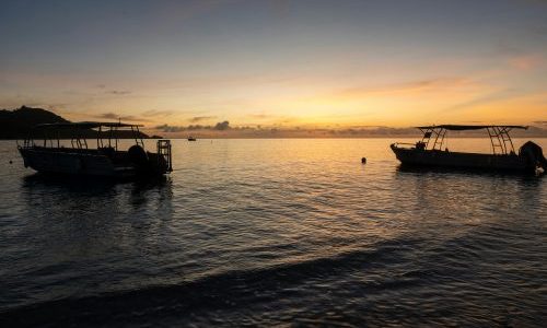Global Trends: Tower Launches Parametric Cover in Fiji